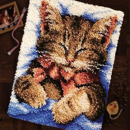 Amazon.com: HIYIRUI Latch Hook Kits for Adults DIY Needlework ...