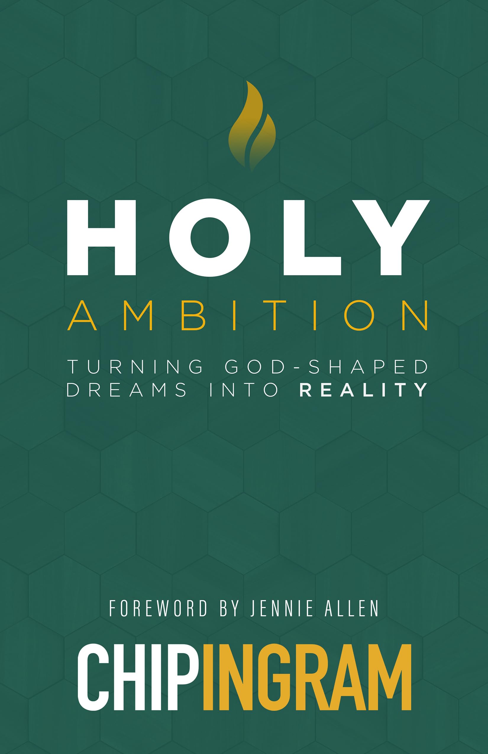 Holy Ambition: Turning God-Shaped Dreams into Reality: Ingram, Chip ...