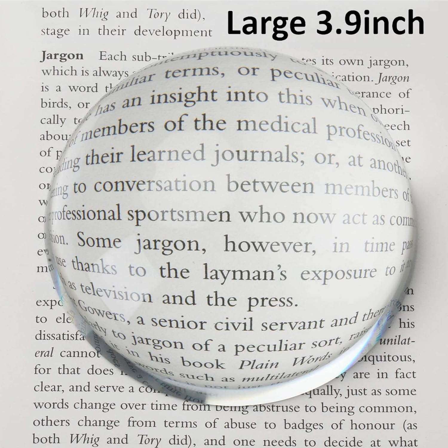 Amazon.com : Large 3.9 Inch Glass Dome Magnifier, Paper Weight by ...