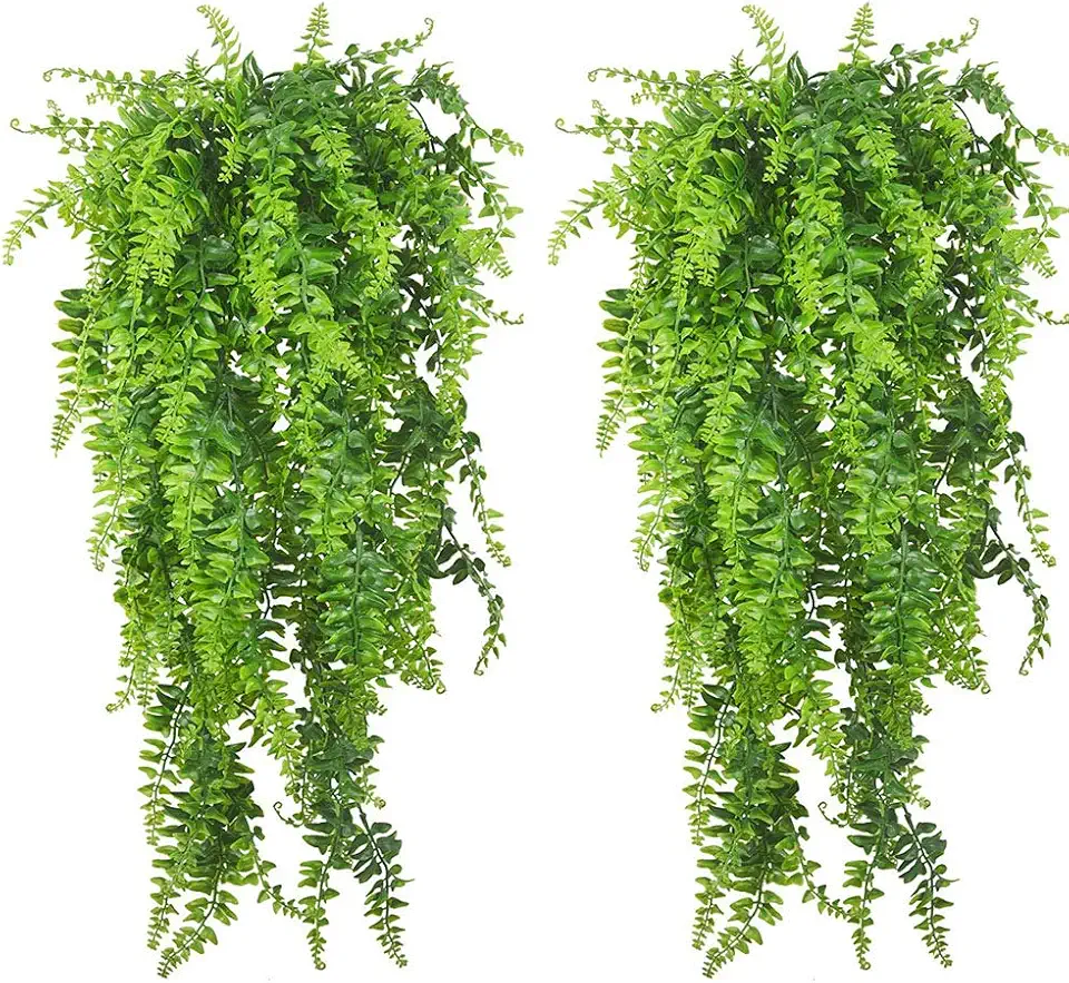 The Science Behind Geckos' Amazing Feet: How Do They Stick To Walls ...