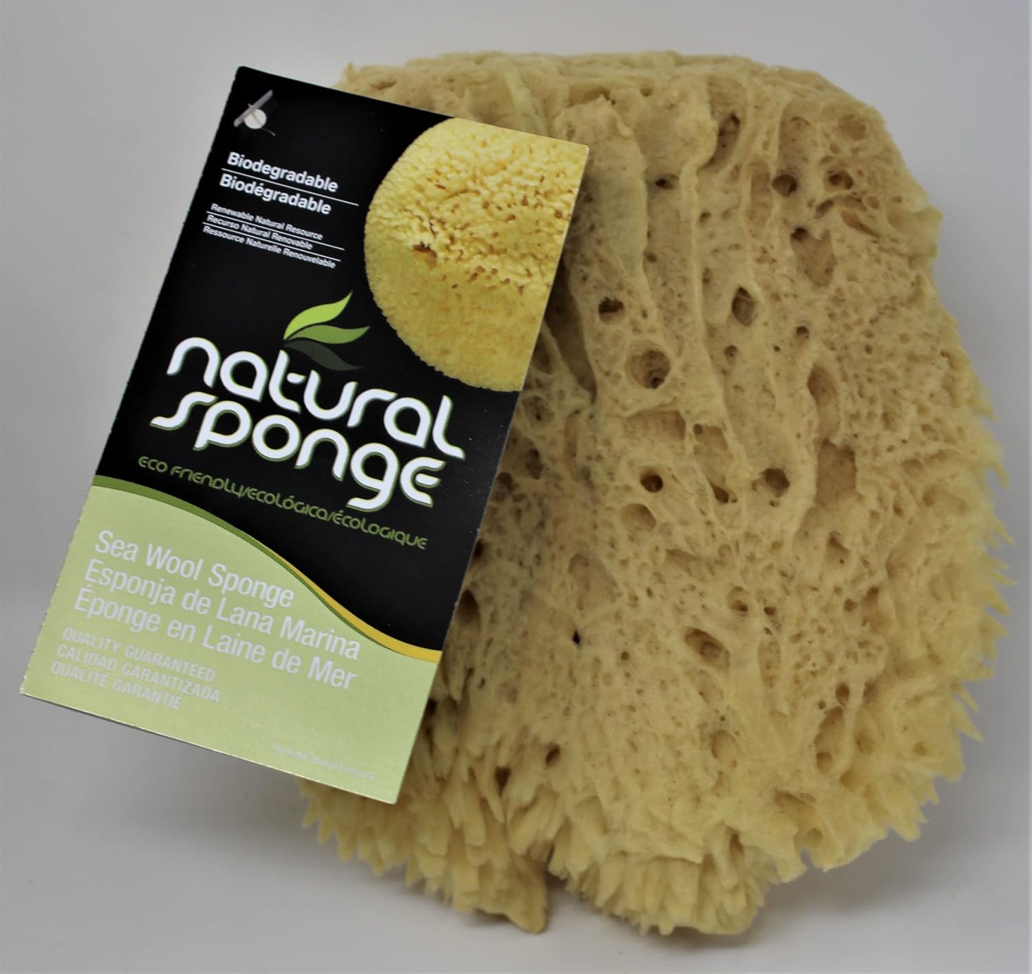 Amazon.com: The Natural Sea Sponge, 8 to 9-Inch, Wool : Health & Household
