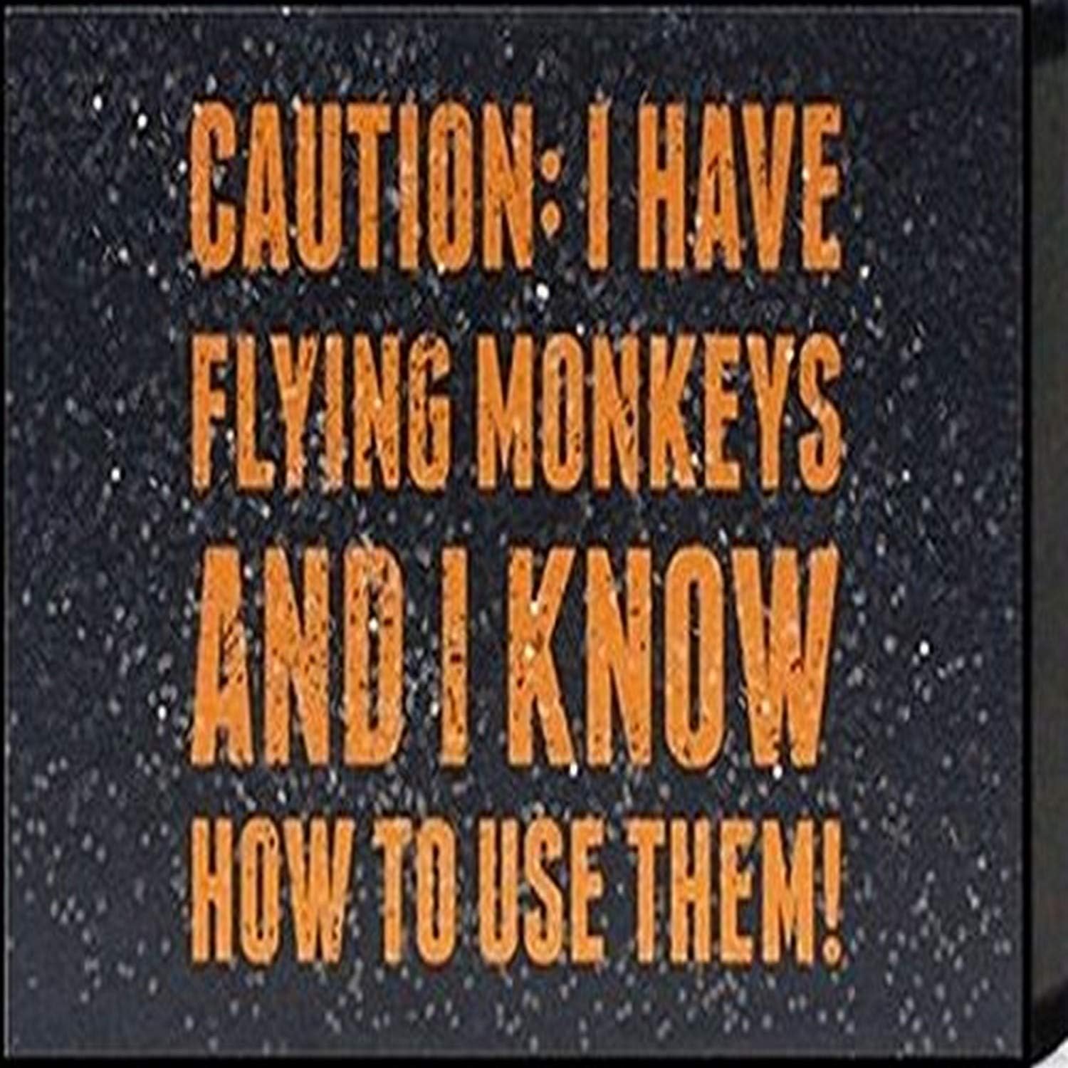 Amazon.com: Artistic Reflections ''Caution: I Have Flying Monkeys ...