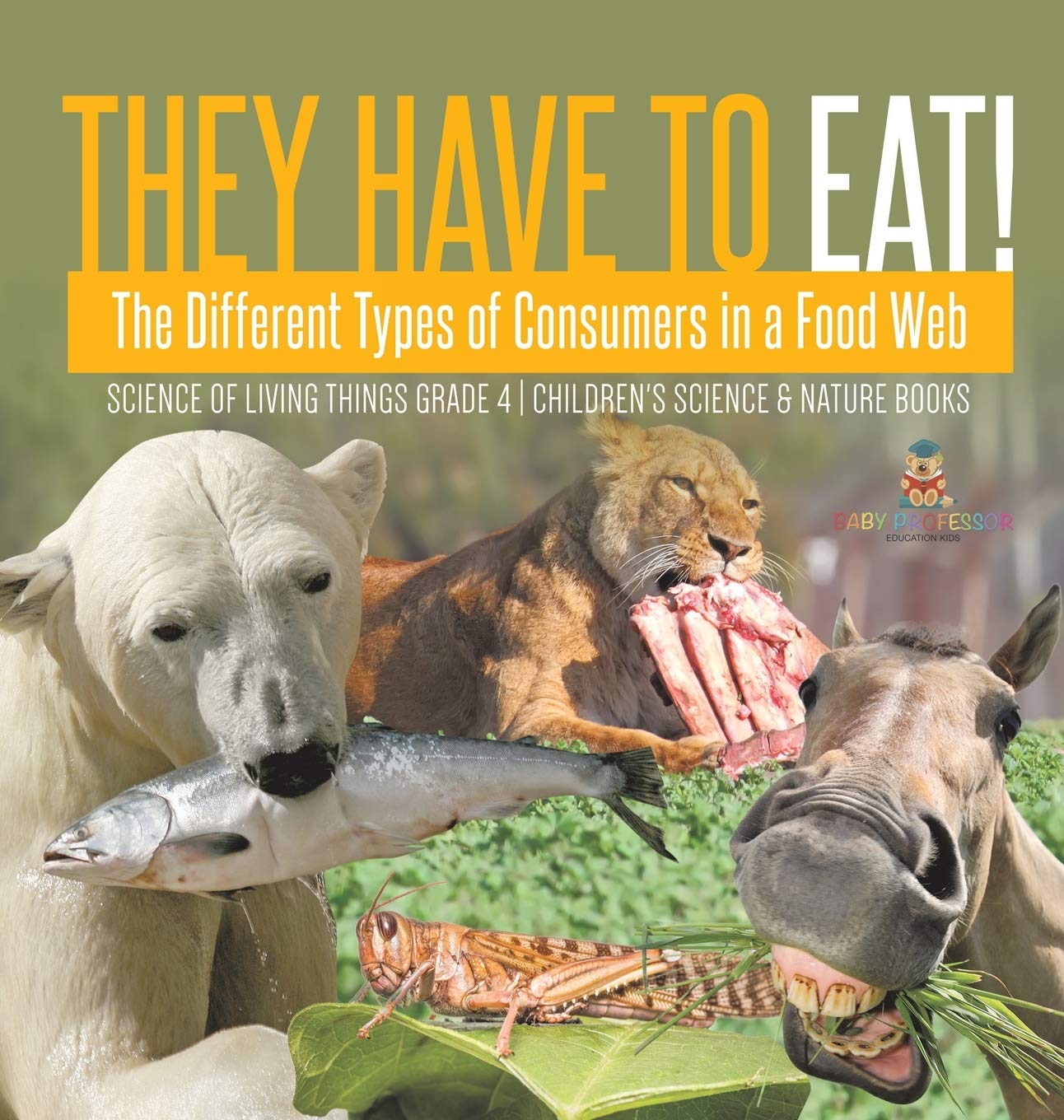 Buy They Have to Eat!: The Different Types of Consumers in a Food Web ...