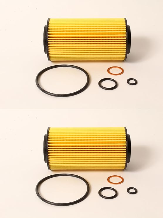 Amazon.com: Kohler 2 Pack Genuine ED0021750010-S Oil Filter Cartridge ...