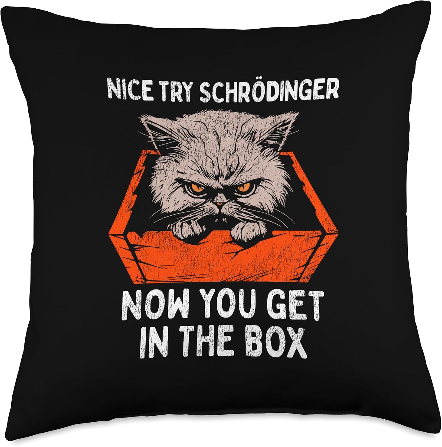 Amazon.com: Science Physicist Humor Gag Gifts Co. Nice Try Schrodinger ...