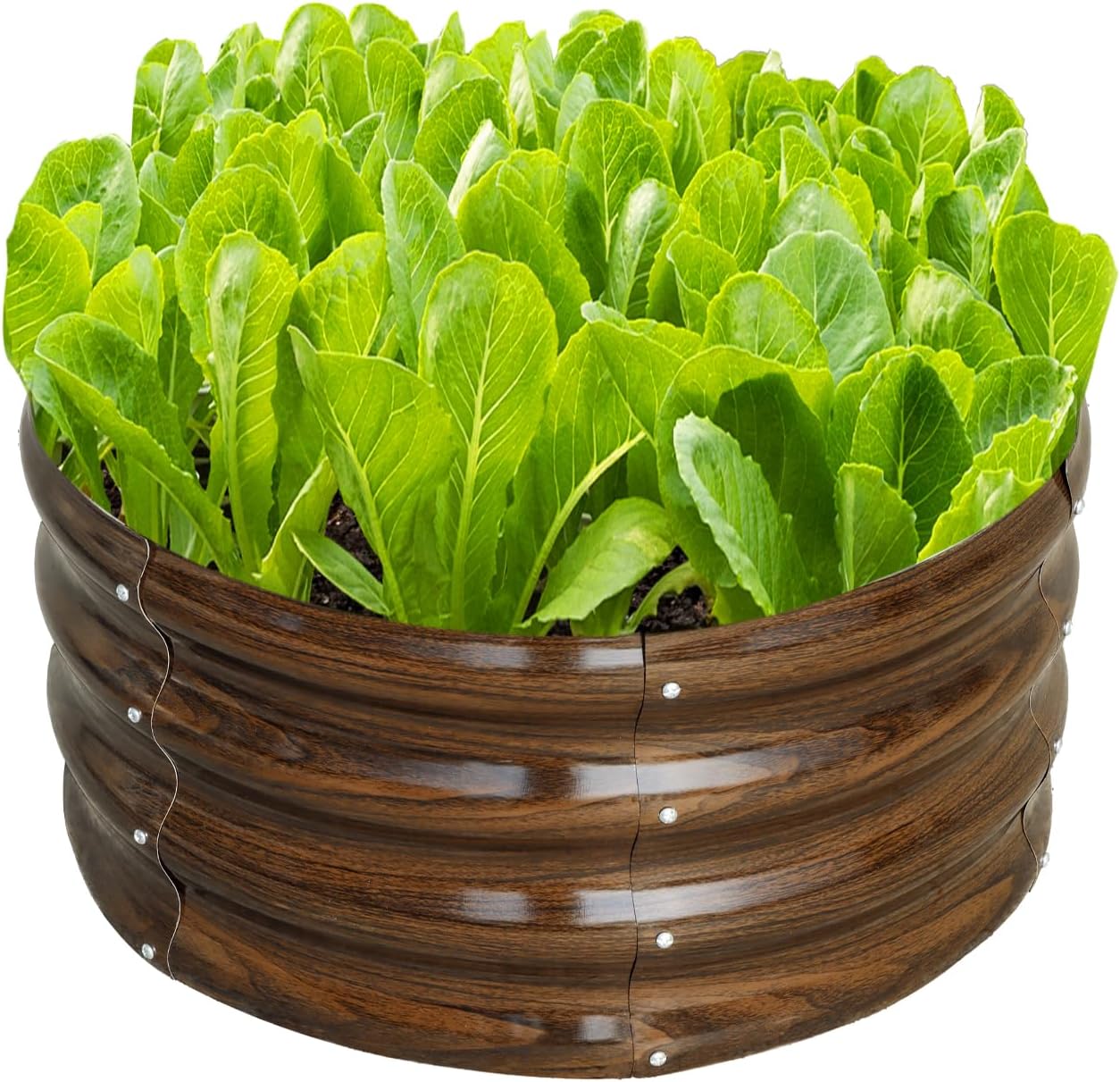 Amazon.com: SnugNiture 2x2x1ft Round Galvanized Raised Garden Bed Kit ...