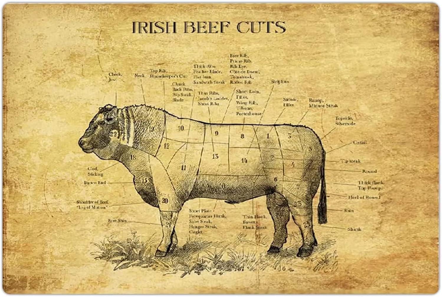 Amazon.com: LALLRI Irish Beef Cuts Metal Signs Wall Decor Aluminium ...