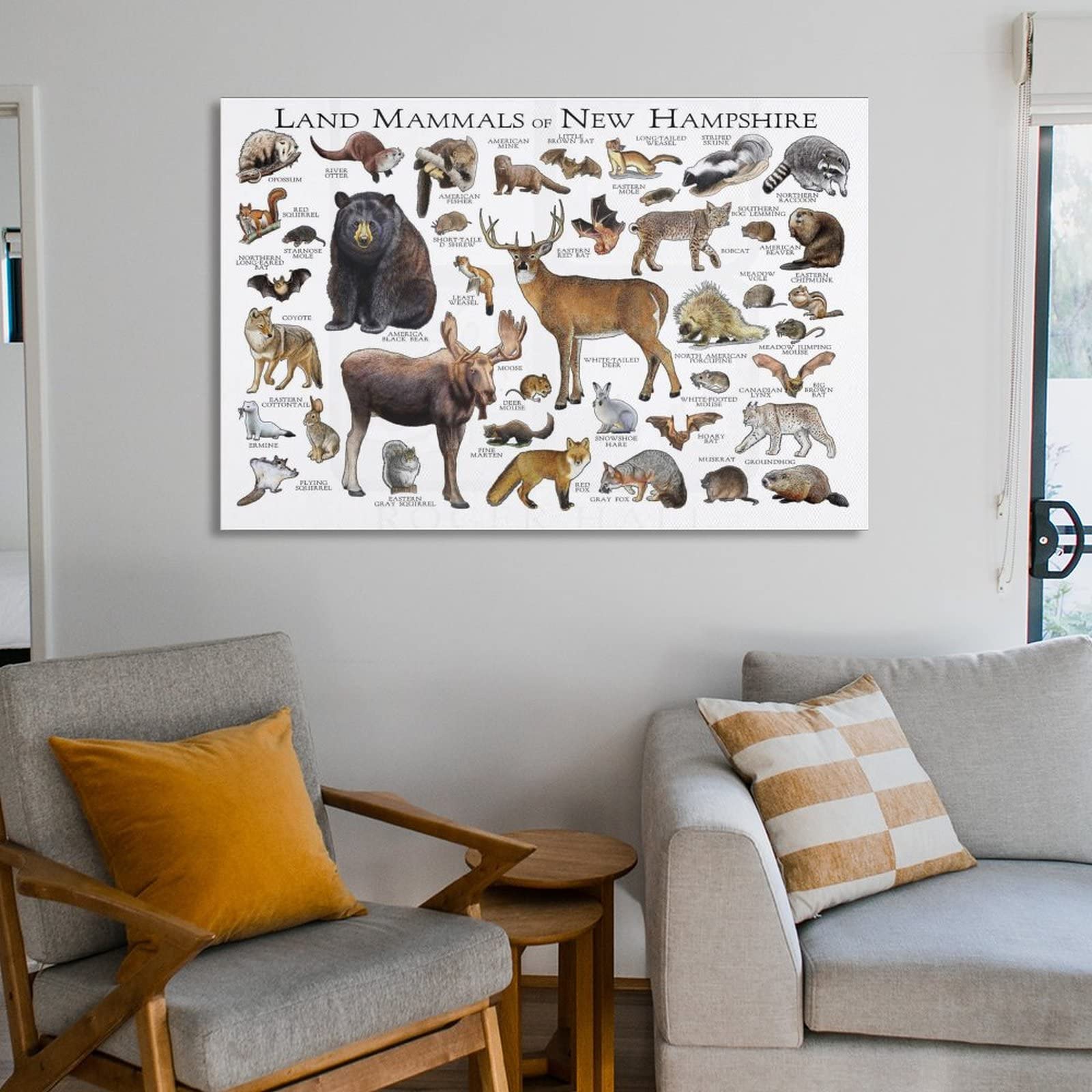Wildlife Decor Catalogs Jungle Safari Animals Centerpiece Decorating