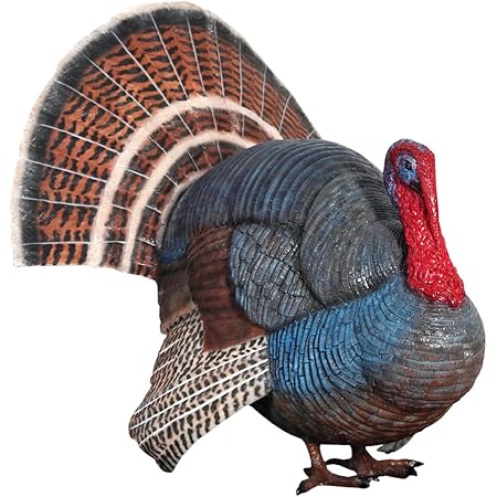 Amazon.com : Design Toscano QM2373100 North American Turkey Statue,full ...