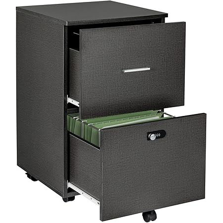 Amazon.com: Reemoon Metal File Cabinet with Lock, Drawers Vertical ...