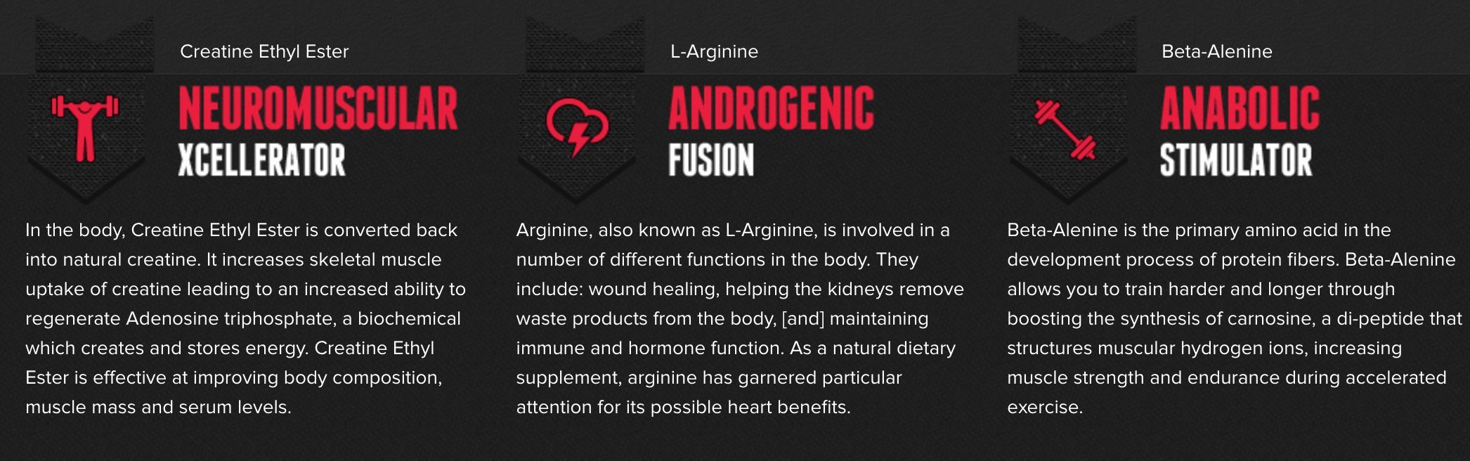 Buy xTreme Muscle Pro: Extra Strength Lean Workout Supplement of L ...