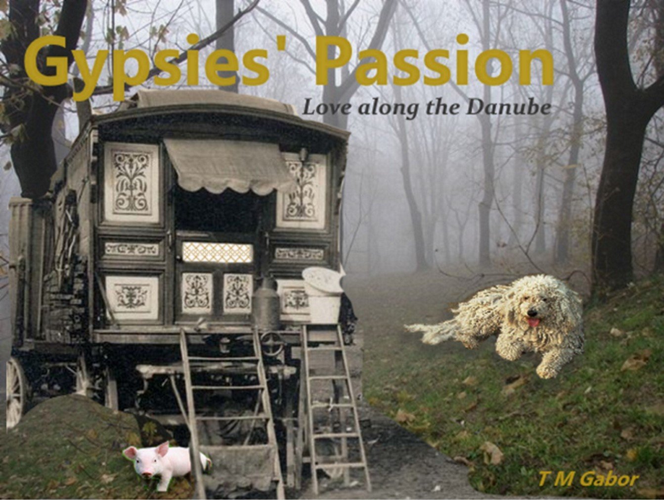 Gypsies' Passion - Kindle edition by Gabor, Tara. Health, Fitness ...