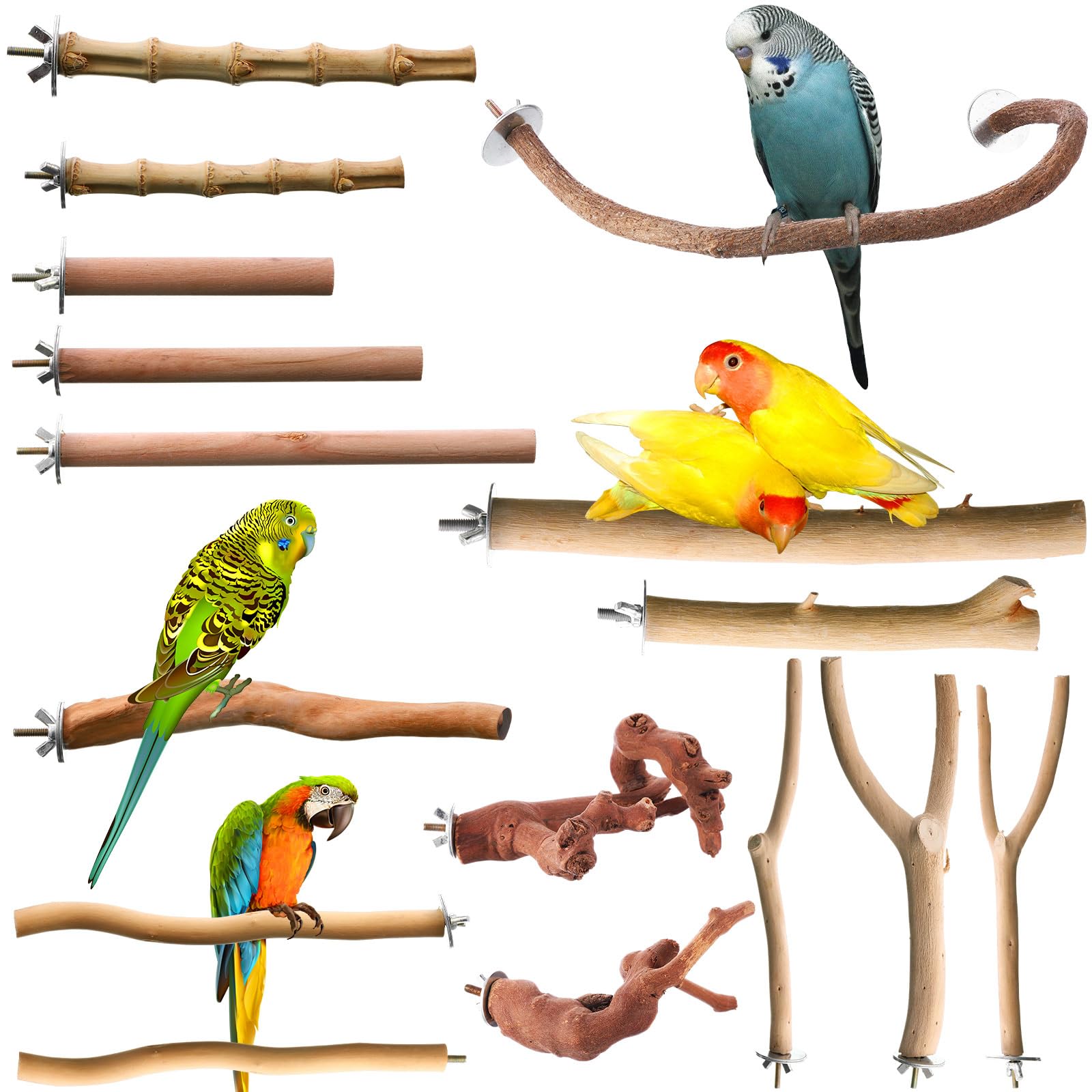 Amazon.com : Tioncy 16 Pcs Natural Wood Bird Perches for Parrot Bird ...