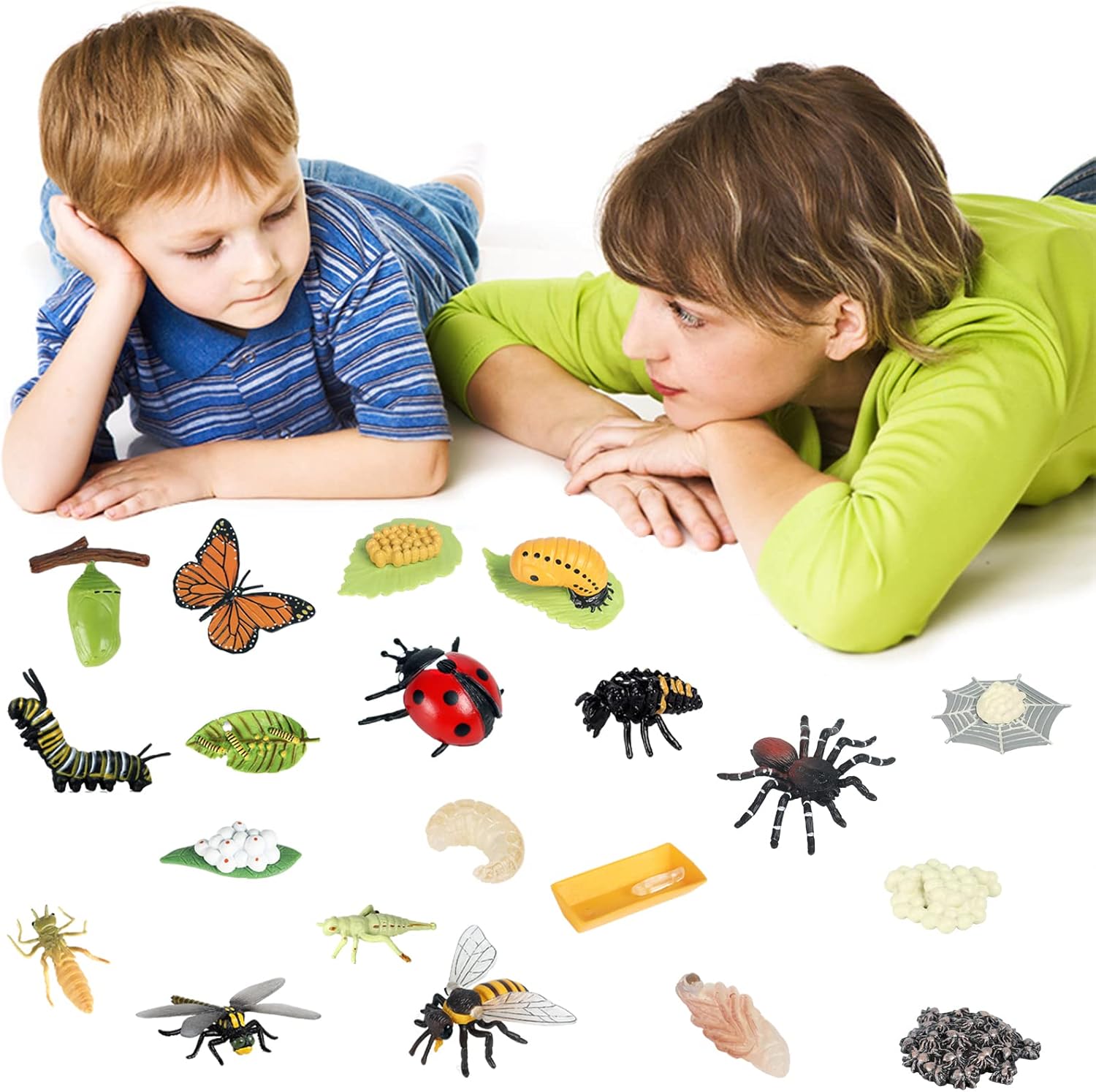 20 PCS Insect Life Cycle Figurines Toy Kit for Kids Australia | Ubuy