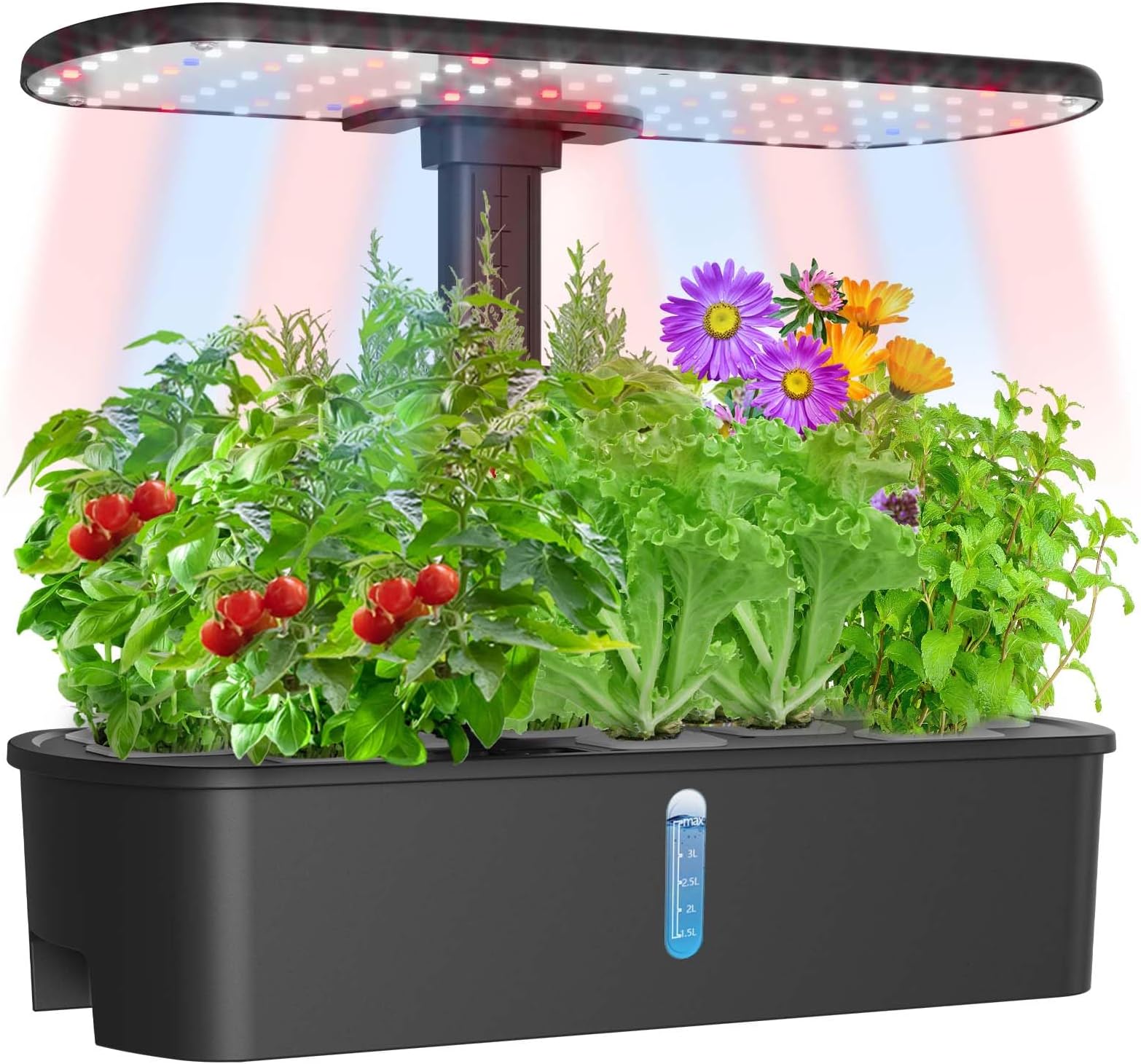 Botanium Indoor Hydroponic Herb and Plant Growing System, Ash Grey ...