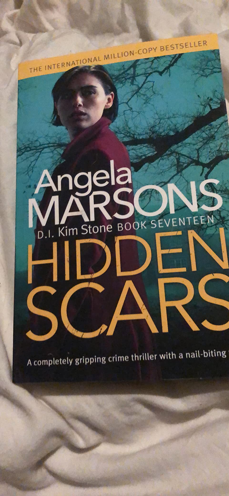 Hidden Scars: Detective Kim Stone, Book 17 (Audio Download): Angela ...