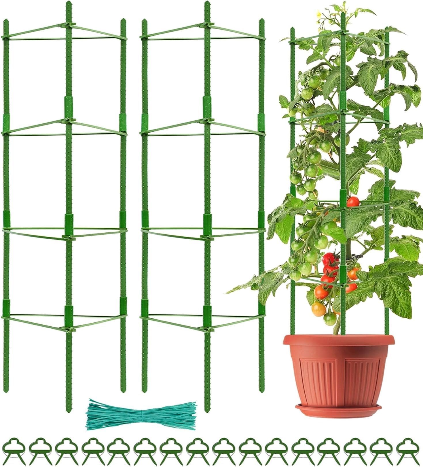 K-Brands Tomato Cage (173 cm, Set of 3) - Extra Tall Climbing Plant ...