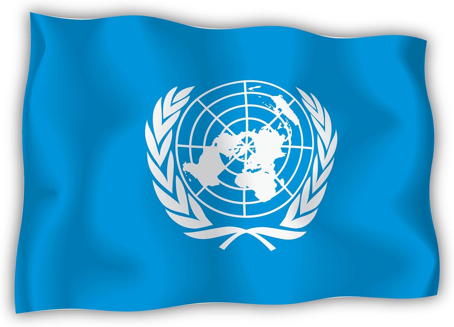 Amazon.com: United Nations UN flag sticker decal 6" x 4" : Automotive