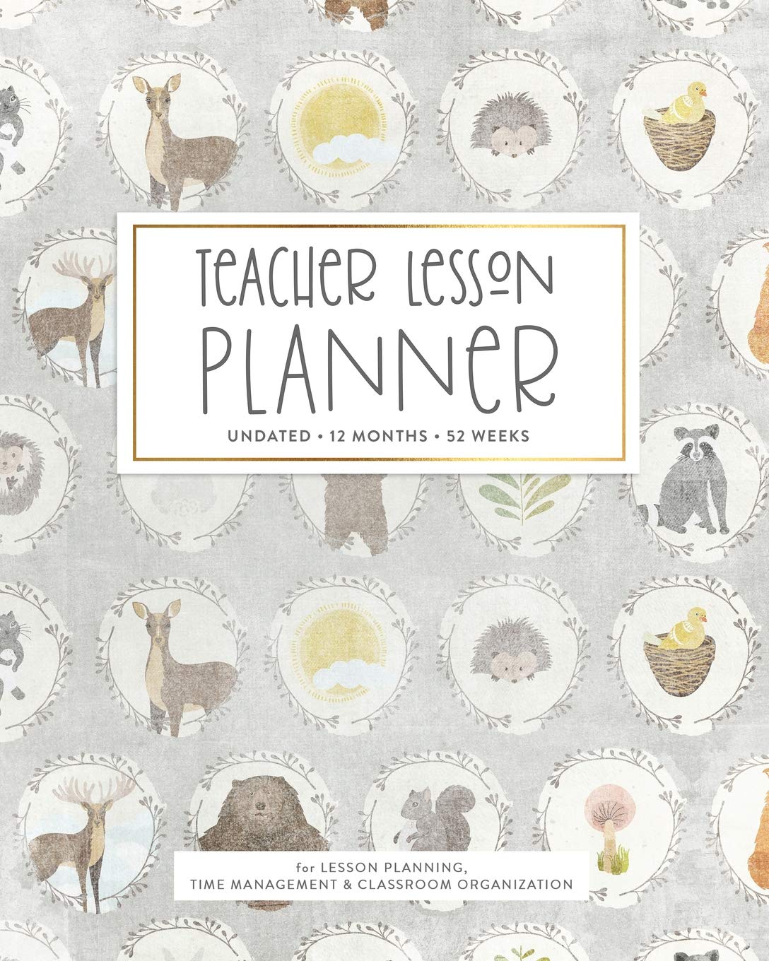 Teacher Lesson Planner, Undated 12 Months 52 Weeks for Lesson Planning ...