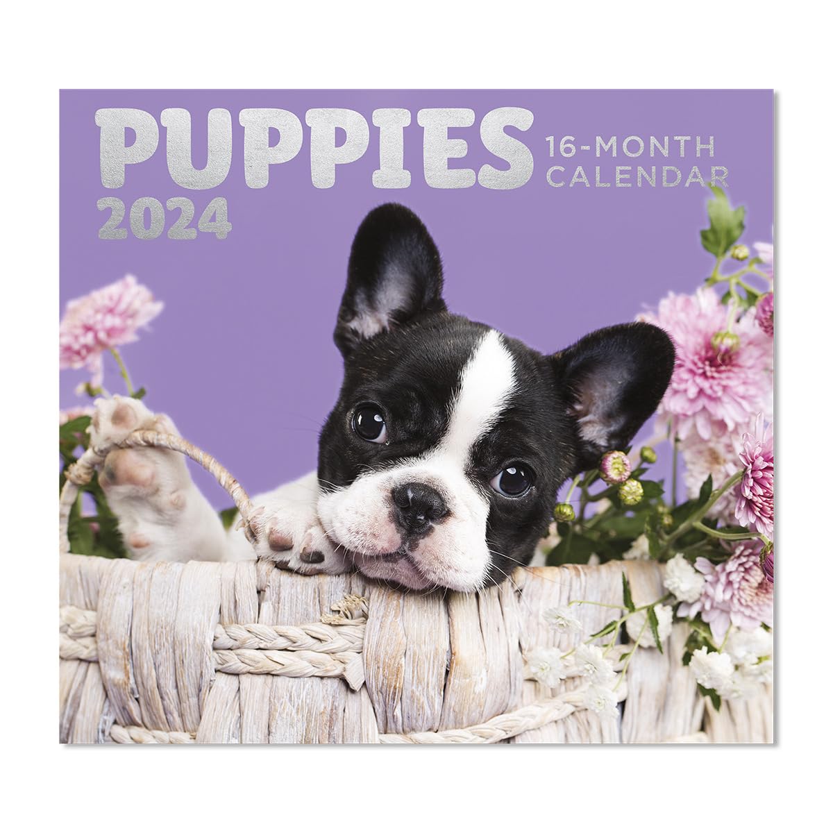 Amazon.com: Puppies Full Size Wall Calendar for Planning, Scheduling ...