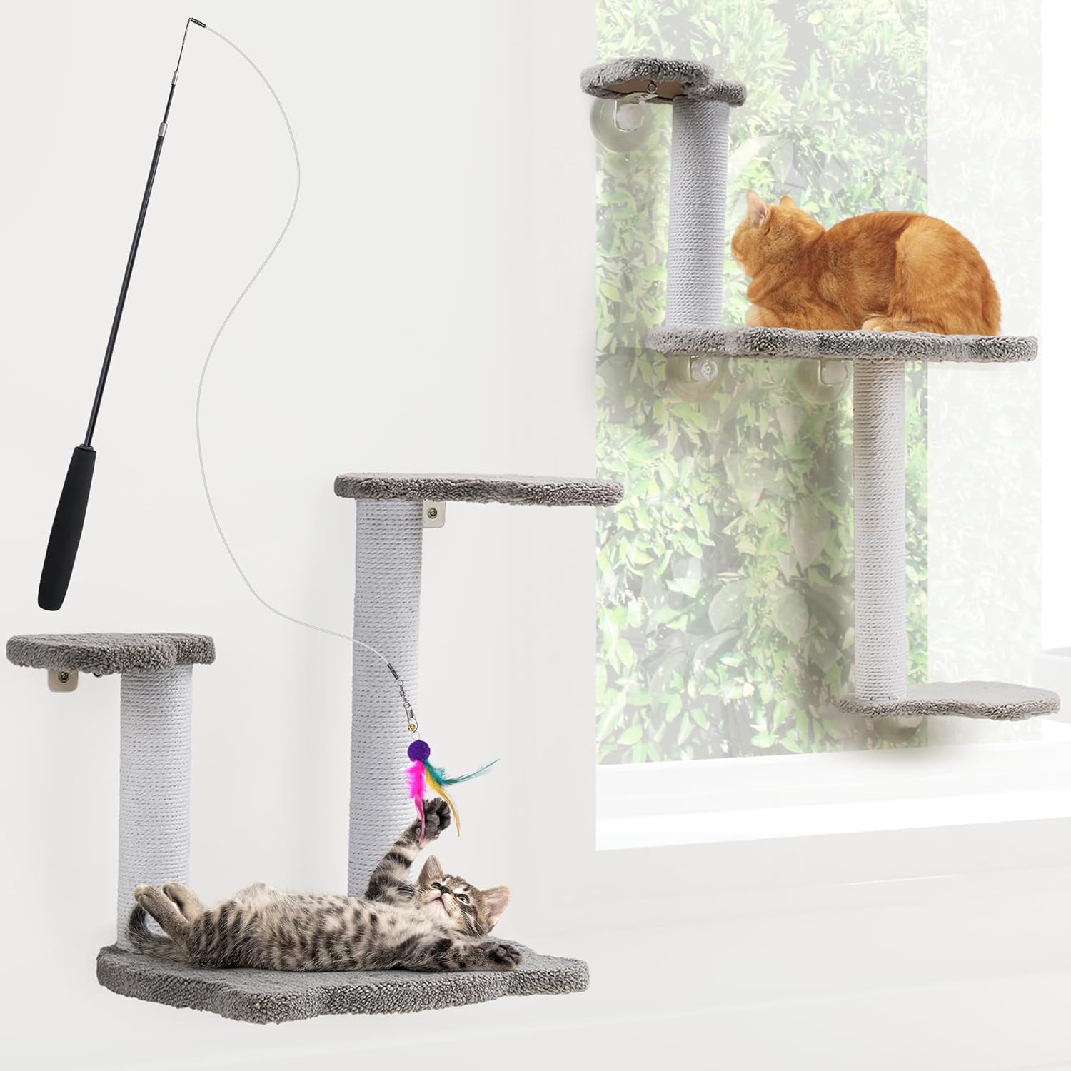 Amazon.com : AUCENT cat Window Perch - cat Window Bed, Window cat Perch ...