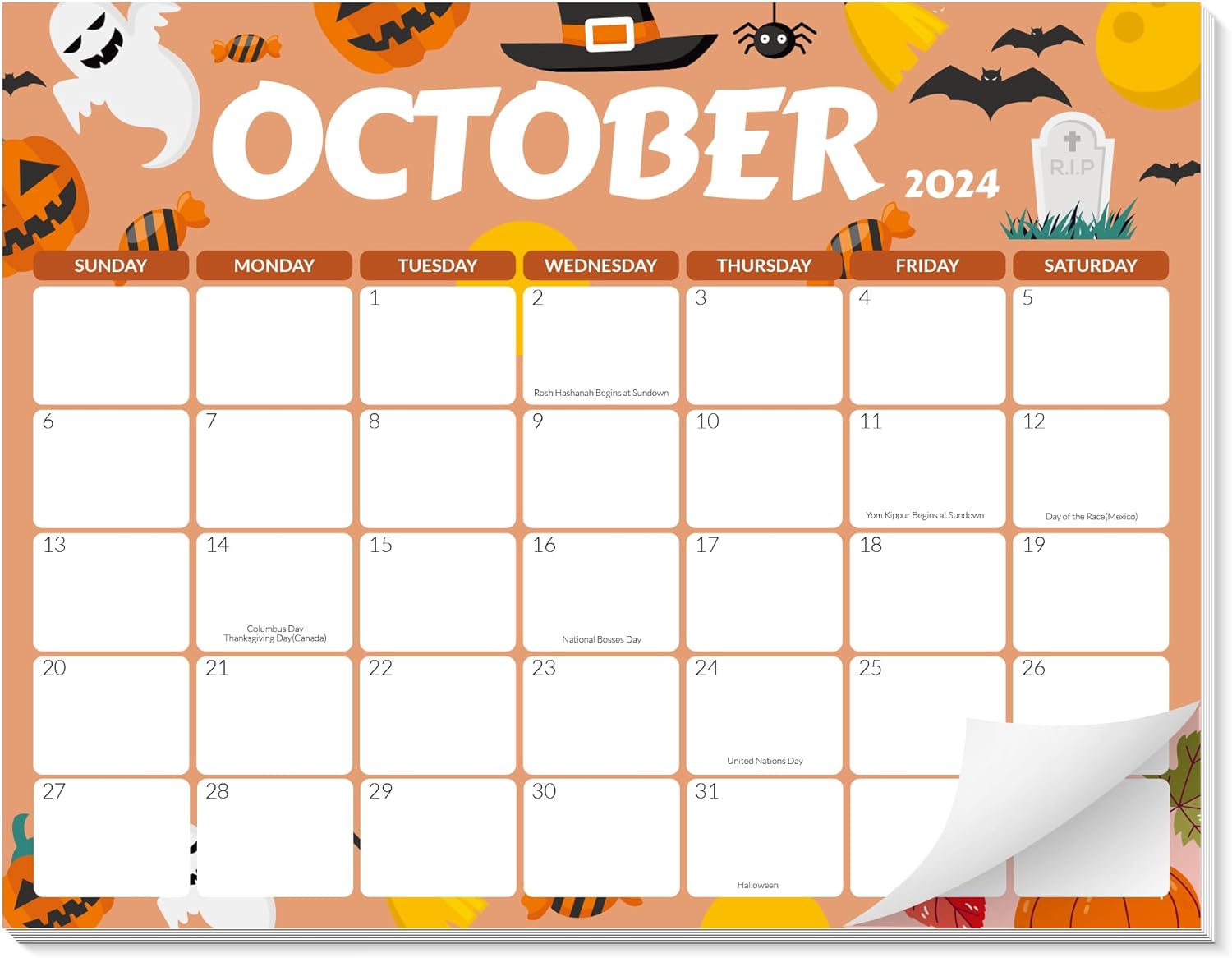 Amazon.com: GNL 2025 Magnetic Calendar for Refrigerator, from Now to ...