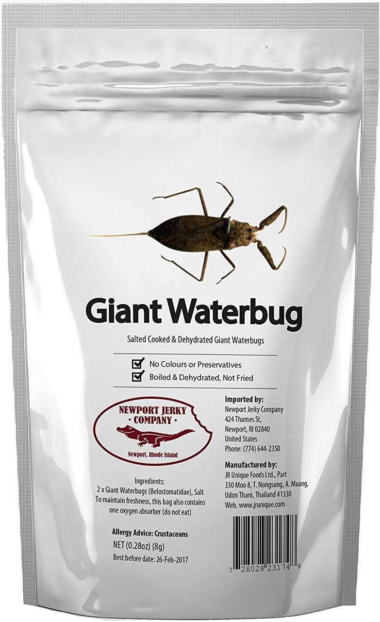 Amazon.com: Newport Jerky Company Edible Insects | Edible Giant Water ...