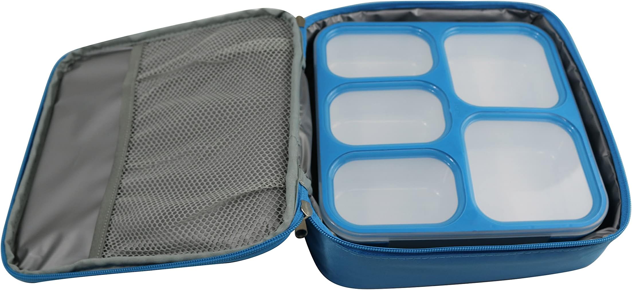 Amazon.com - Modetro Sports Flat Bento Box Adult Lunch Box Leak Proof ...