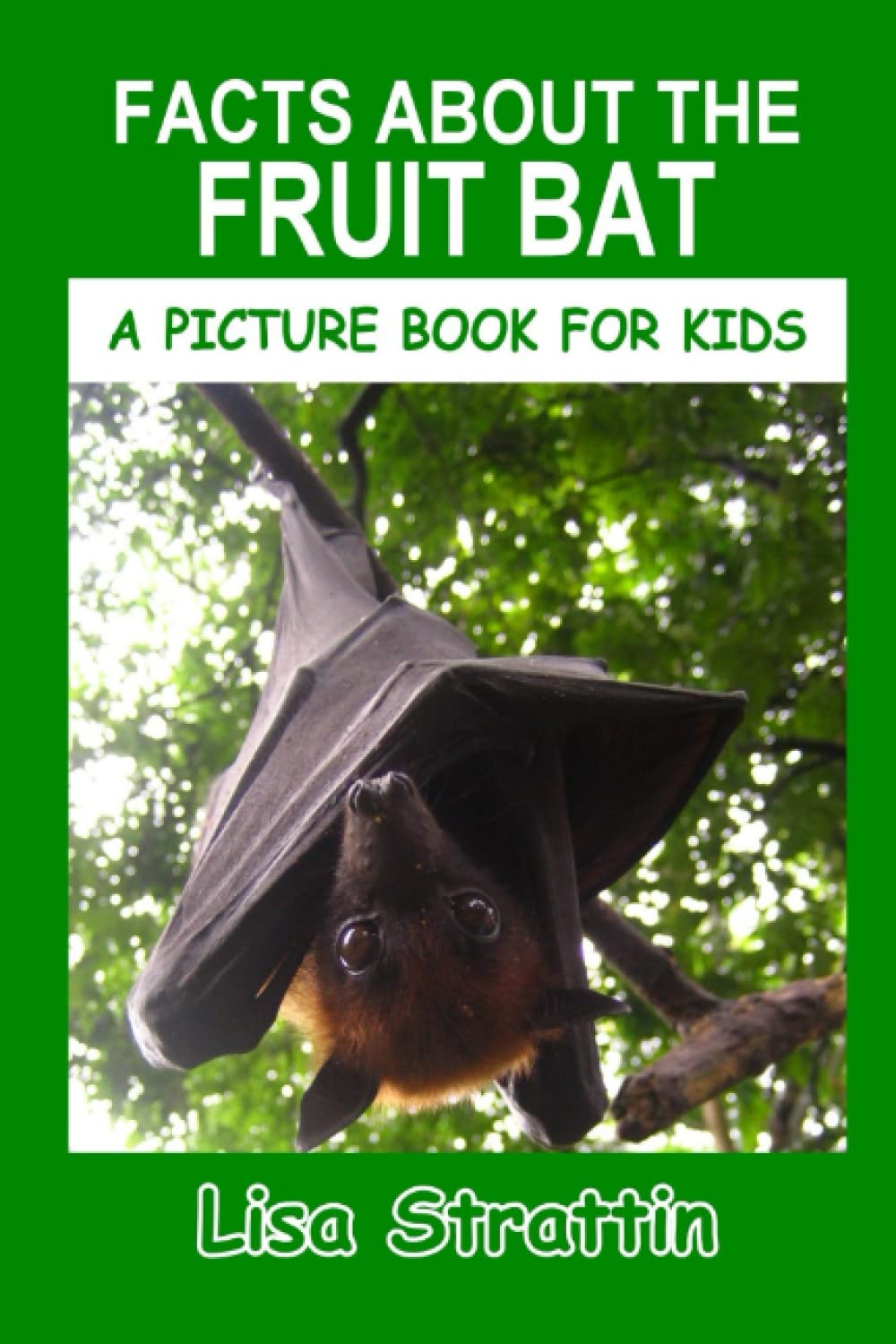 Amazon.com: Facts About the Fruit Bat (A Picture Book For Kids ...