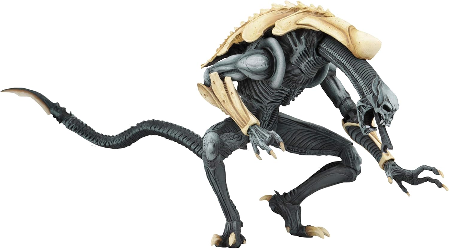 Chrysalis Xenomorph (Alien Vs Predator Arcade) Neca Action Figure ...
