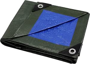 Amazon.com: TARPAL 10x10 Green Tarp Waterproof 6mil Small tarps ...