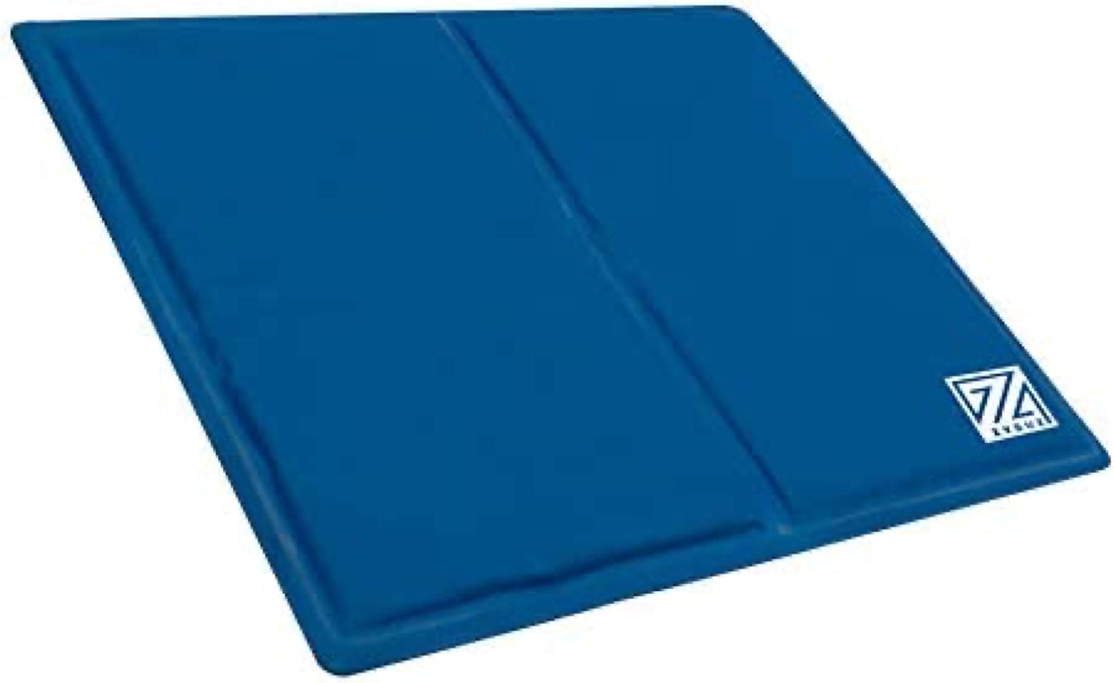 Bramble - Cool Leak Proof Gel Pillow Pad Insert for Cooling & Pain ...