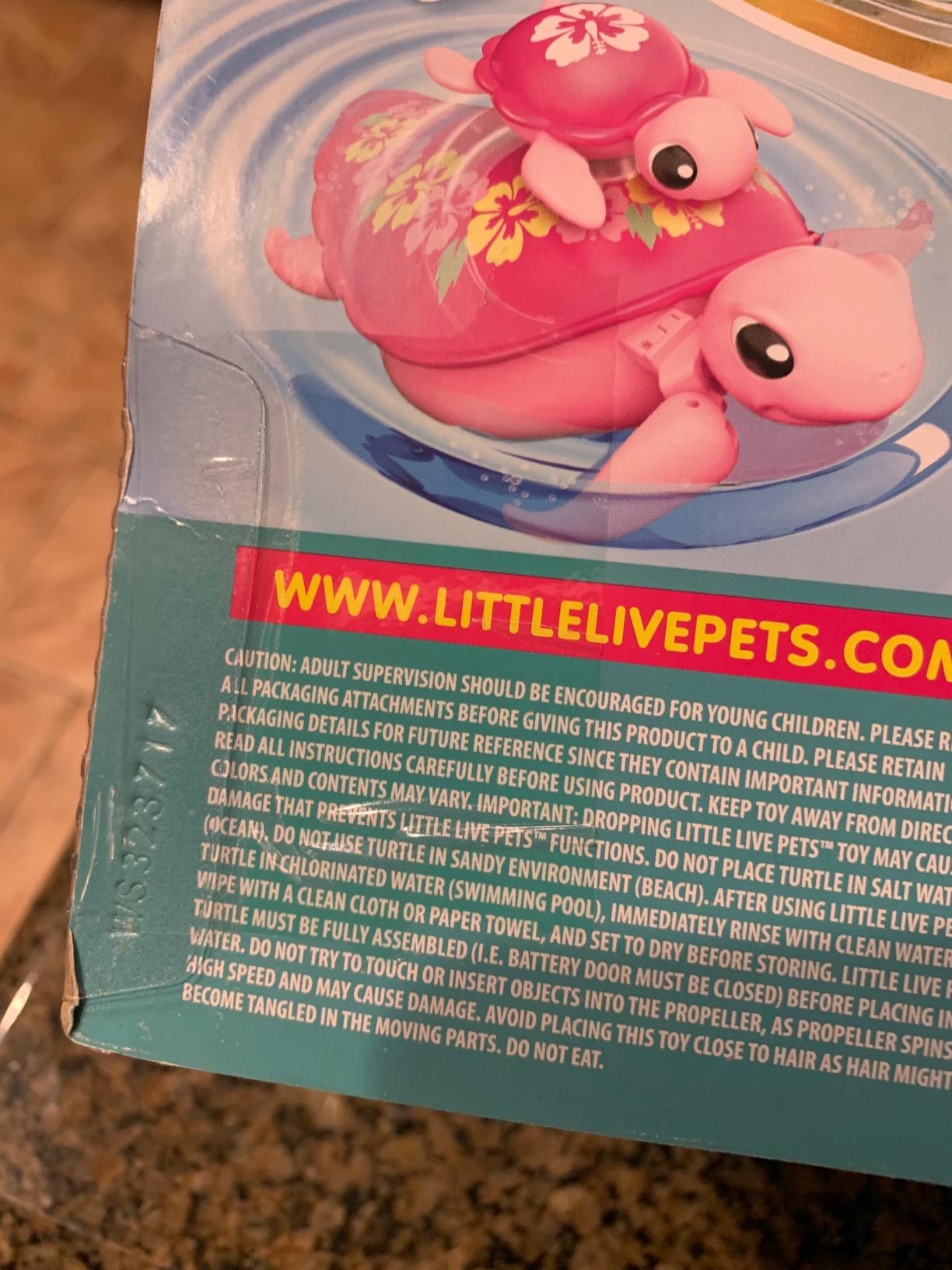 Amazon.com: Little Live Pets Turtle - Laila : Toys & Games