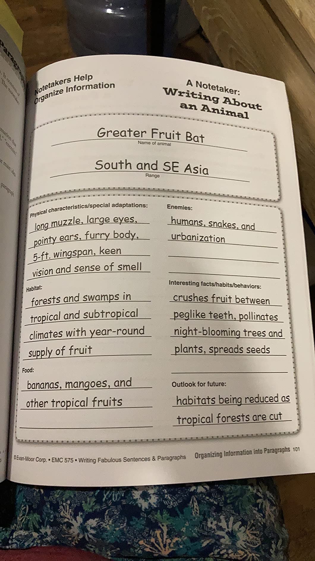 Amazon.com: Evan-Moor Writing Fabulous Sentences & Paragraphs, Grades 4 ...