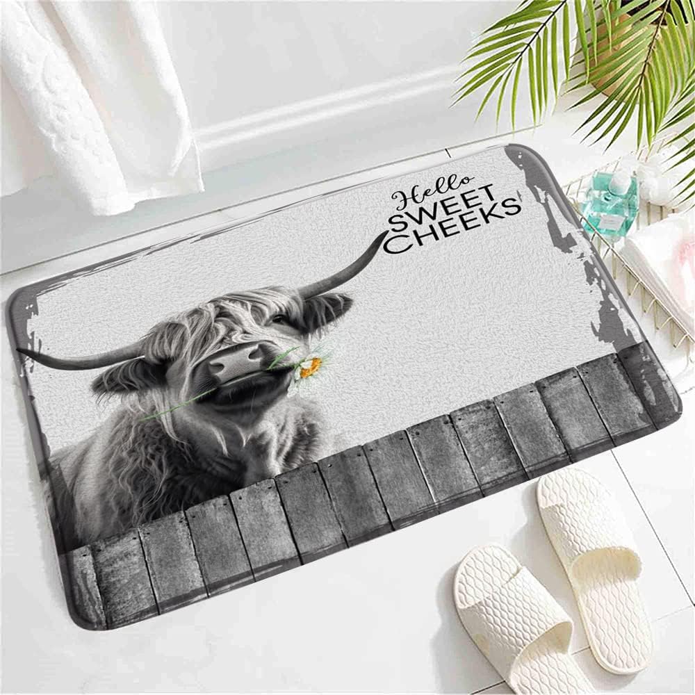 Amazon.com: Farmhouse Highland Cow Bath Mat,Funny Western Rustic Cattle ...