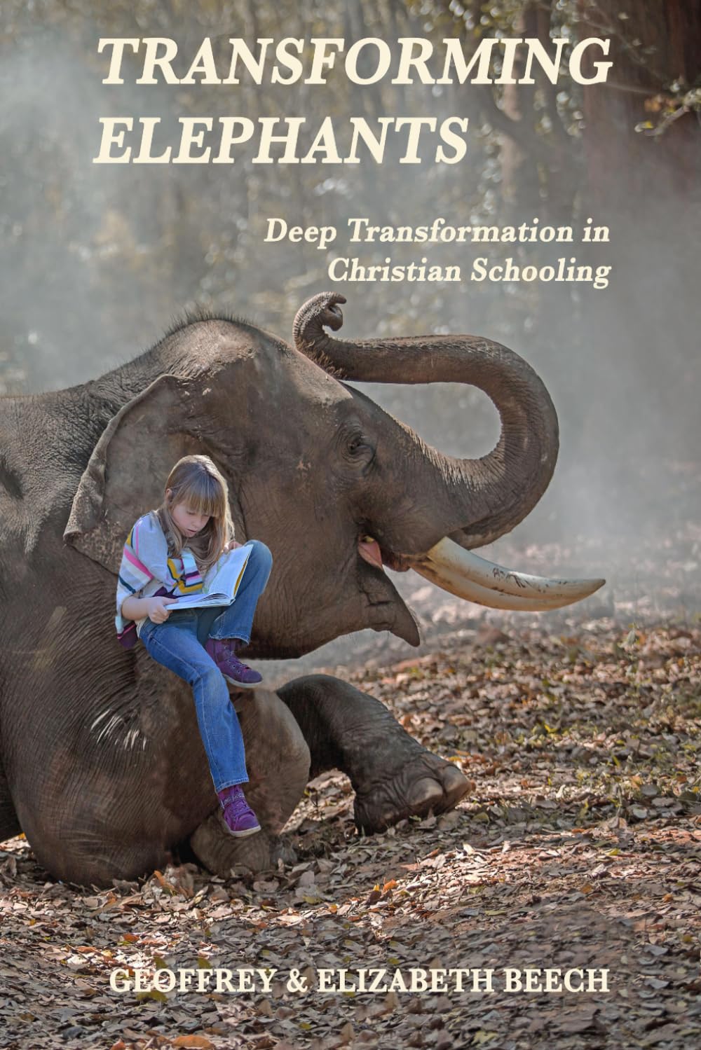 Transforming Elephants: Deep Transformation in Christian Schooling ...