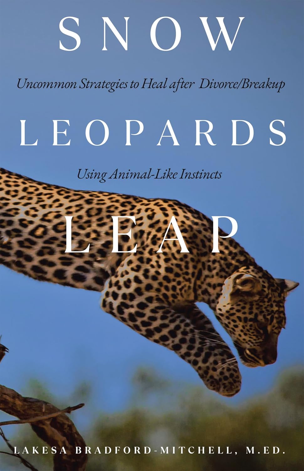 Snow Leopards Leap: Uncommon Strategies to Heal after Divorce/Breakup ...