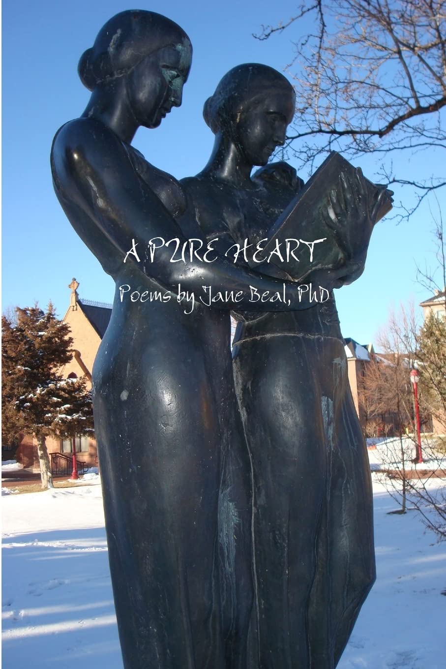 A PURE HEART: Beal, Jane: 9781105590436: Amazon.com: Books