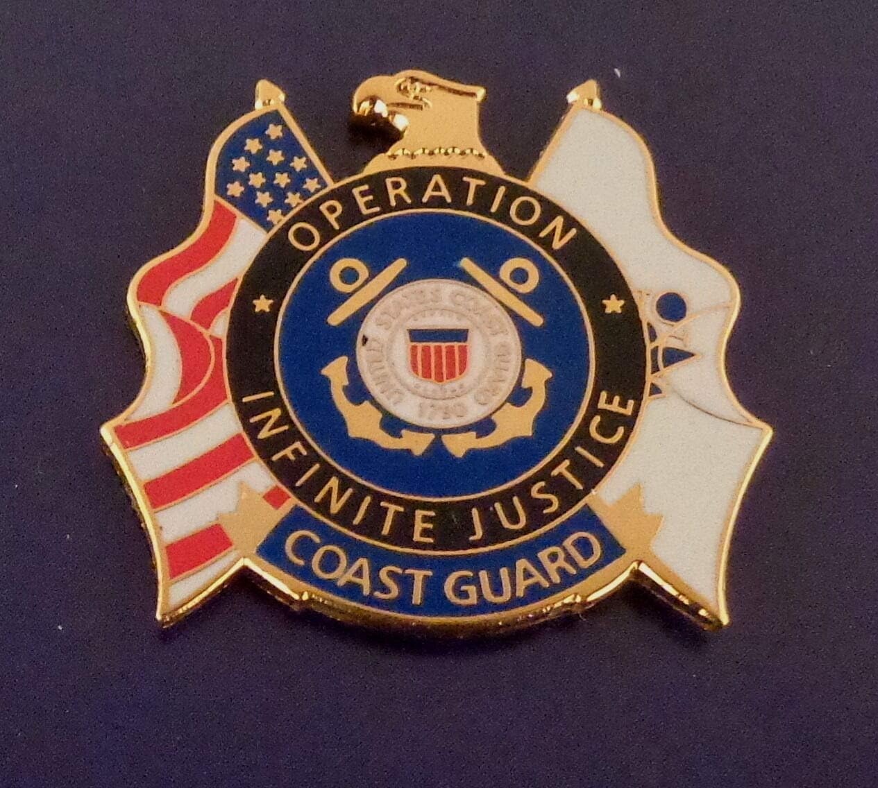 Amazon.com: Operation Infinite Justice Coast Guard Lapel Pin - Made in ...