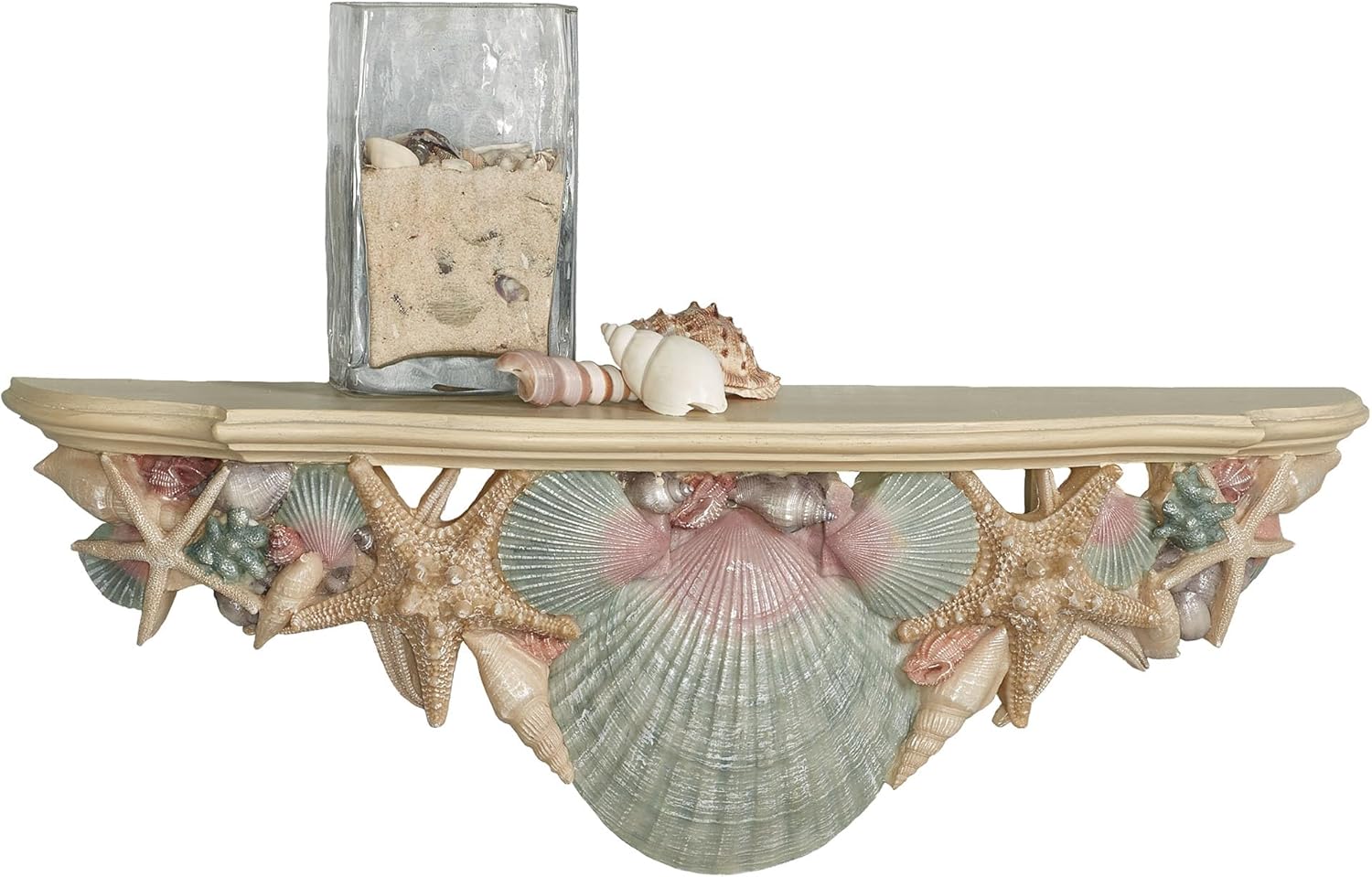 Amazon.com: Touch of Class at The Beach Natural Seashell Wall Shelf ...