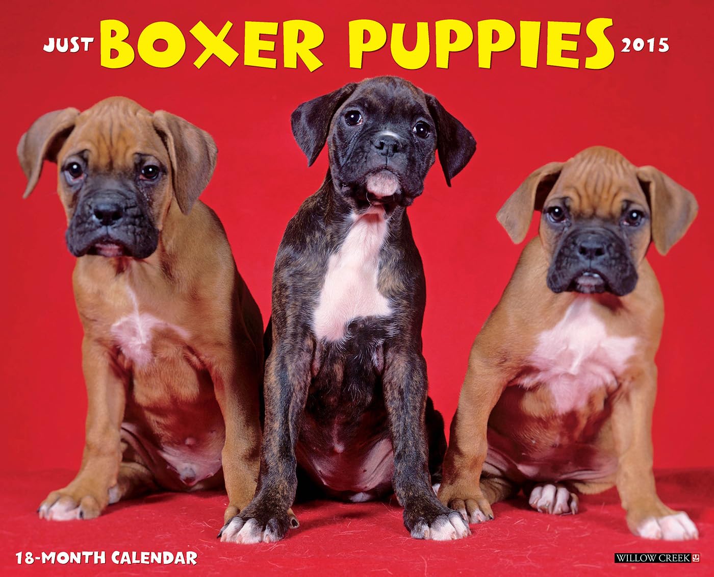 Amazon | Just Boxer Puppies 18-Month 2015 Calendar | Willow Creek Press ...