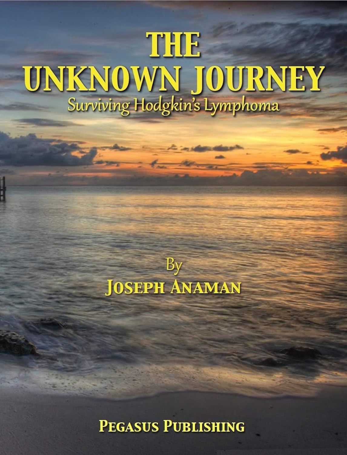 The Unknown Journey: Surviving Hodgkin's Lymphoma - Kindle edition by ...