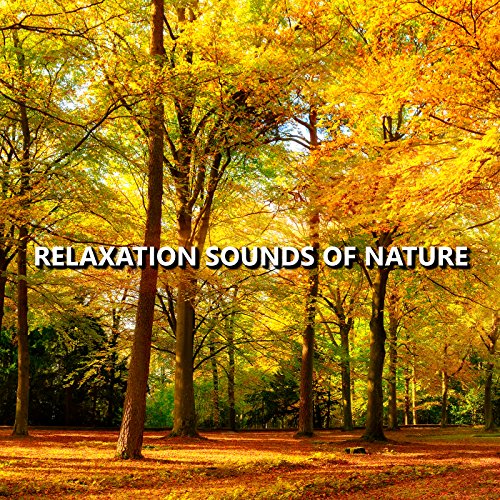 Amazon MusicでNature SoundsのRelaxation Sounds of Natureを再生する