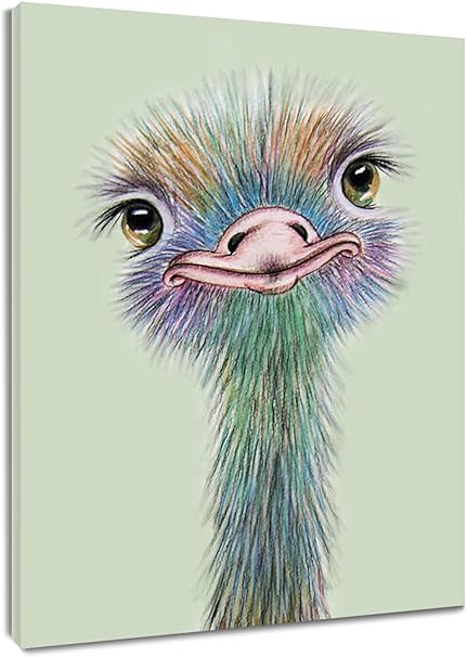 Amazon.com: HVEST Ostrich Canvas Wall Art Watercolor Cute Animal on ...