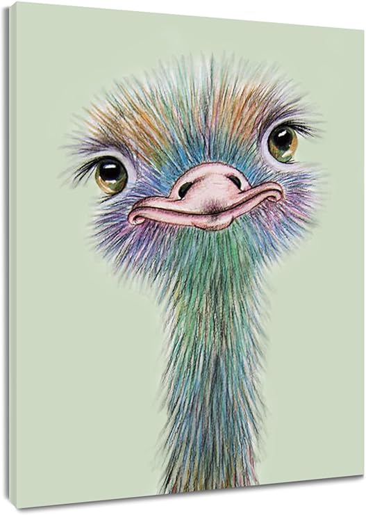 Amazon.com: HVEST Ostrich Canvas Wall Art Watercolor Cute Animal on ...