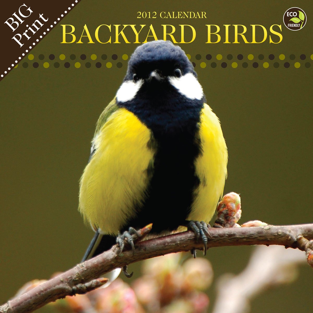 Backyard Birds Big Print 2012 Calendar: Time Factory: 9781617761065 ...