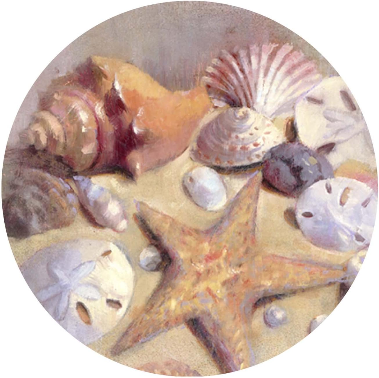 Amazon.com | Thirstystone Stoneware Coaster Set, Sea Shells: Coasters