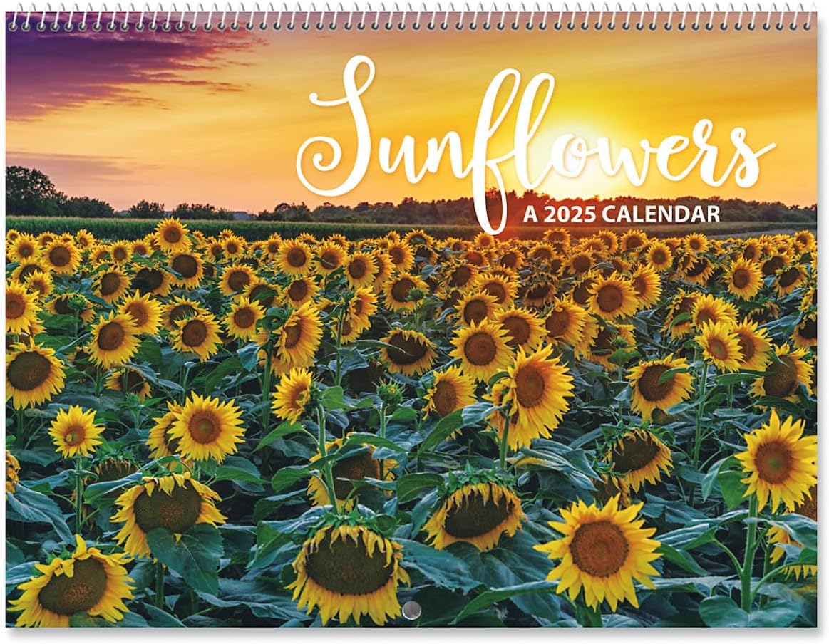 Amazon.com: 2025 Sunflower Big Grid Wall Calendar, 12-Inch x 9-Inch ...