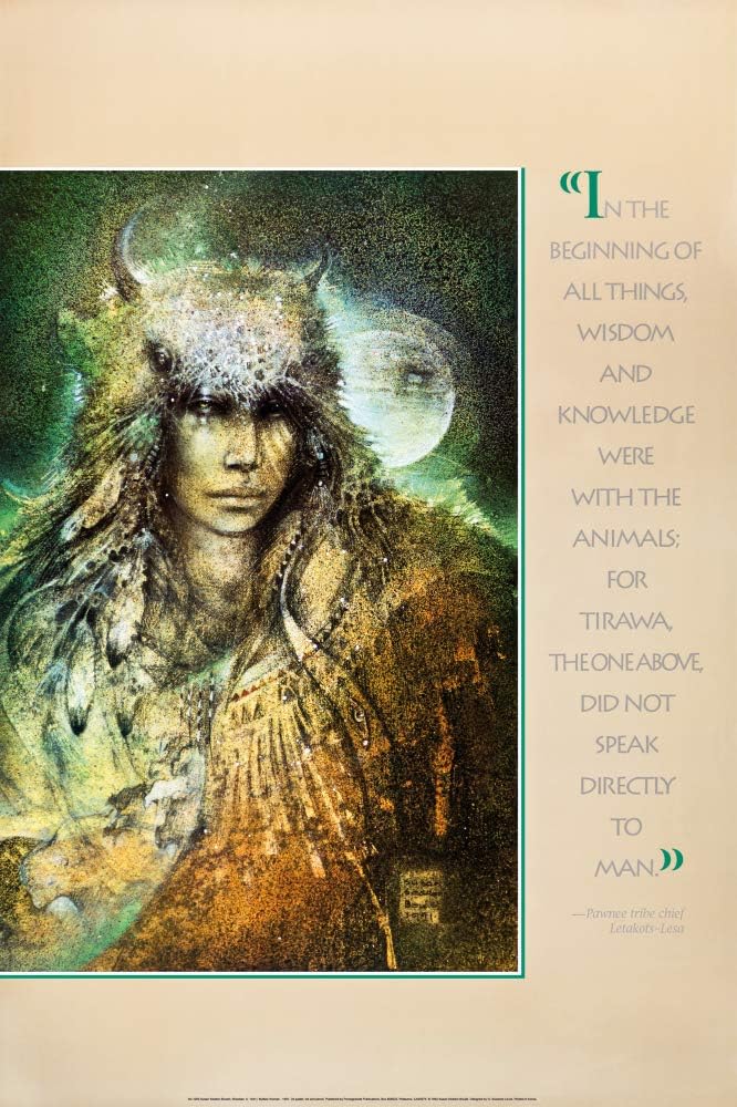 Amazon.com: 1art1 Susan Seddon Boulet Poster - Buffalo Woman (36 x 24 ...