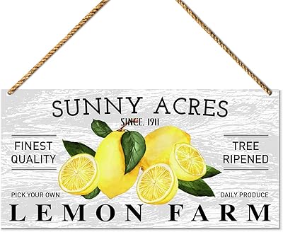 Amazon.com: 3 Pieces Lemon Wood Sign Lemon Kitchen Decor Inspirational ...